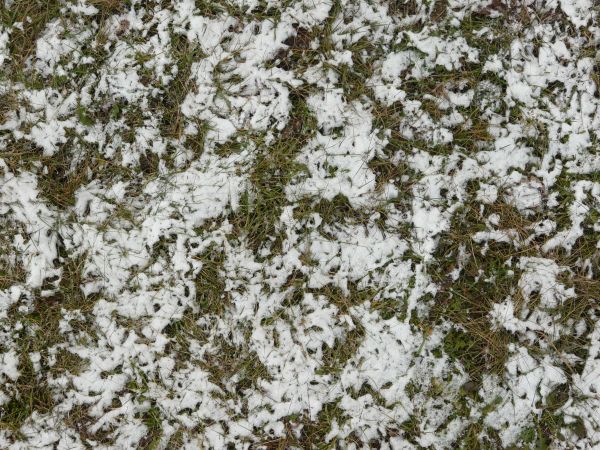frozen ground texture 0013 - Texturelib